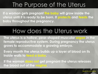 The Reproductive System | PPT