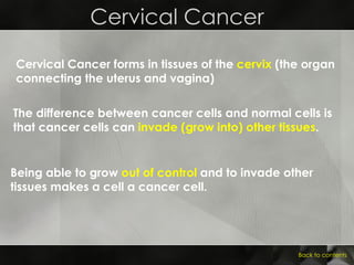 The Reproductive System | PPT
