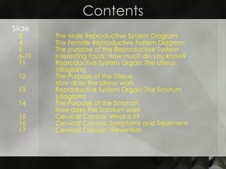 The Reproductive System | PPT