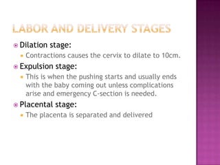 Reproductive System | PPTX | Pregnancy | Reproductive Health