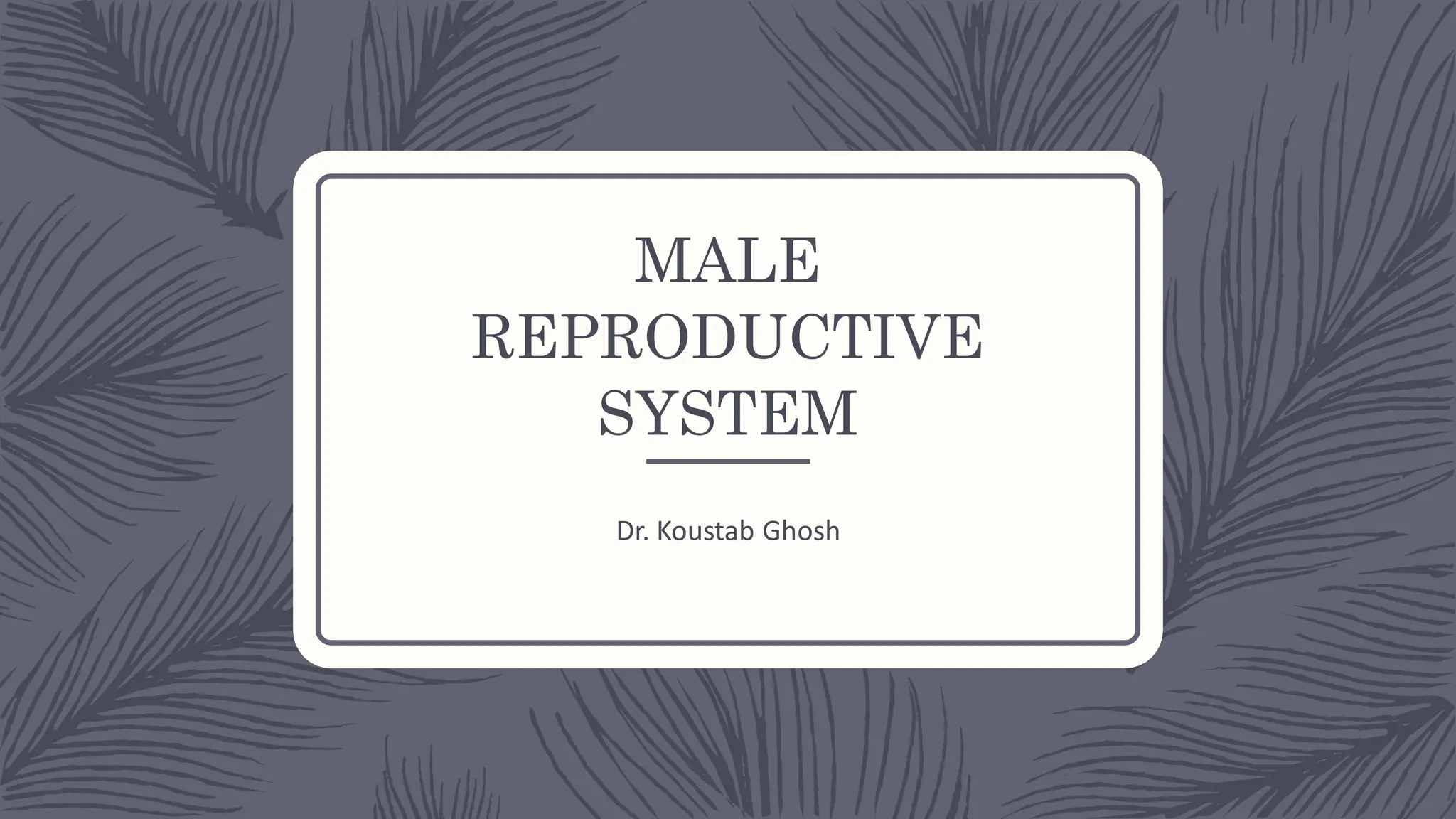 male reproductive system - definition, purpose | PDF