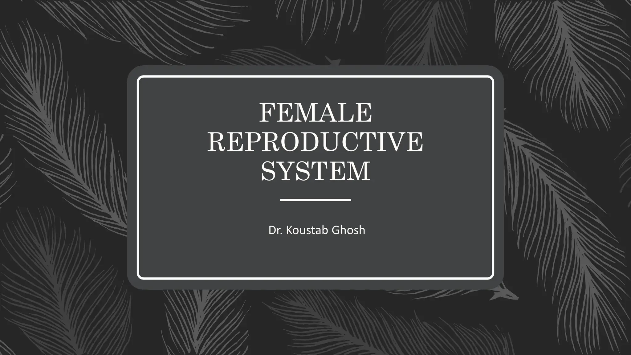 male reproductive system - definition, purpose | PPT