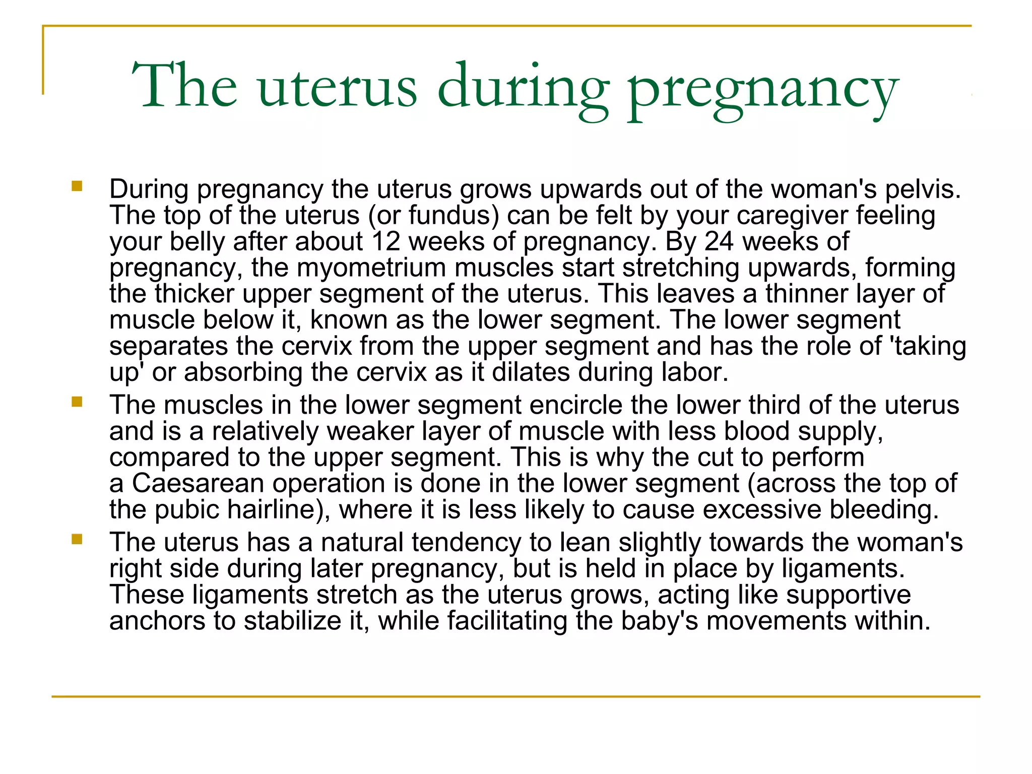 Reproductive system | PPT