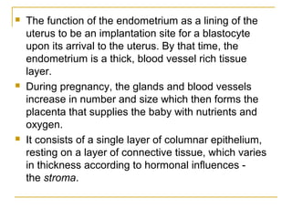 Reproductive system | PPT