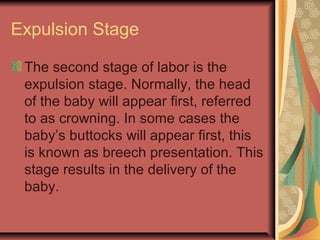 Reproductive system | PPT