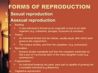 Reproductive system | PPT | Infertility | Reproductive Health