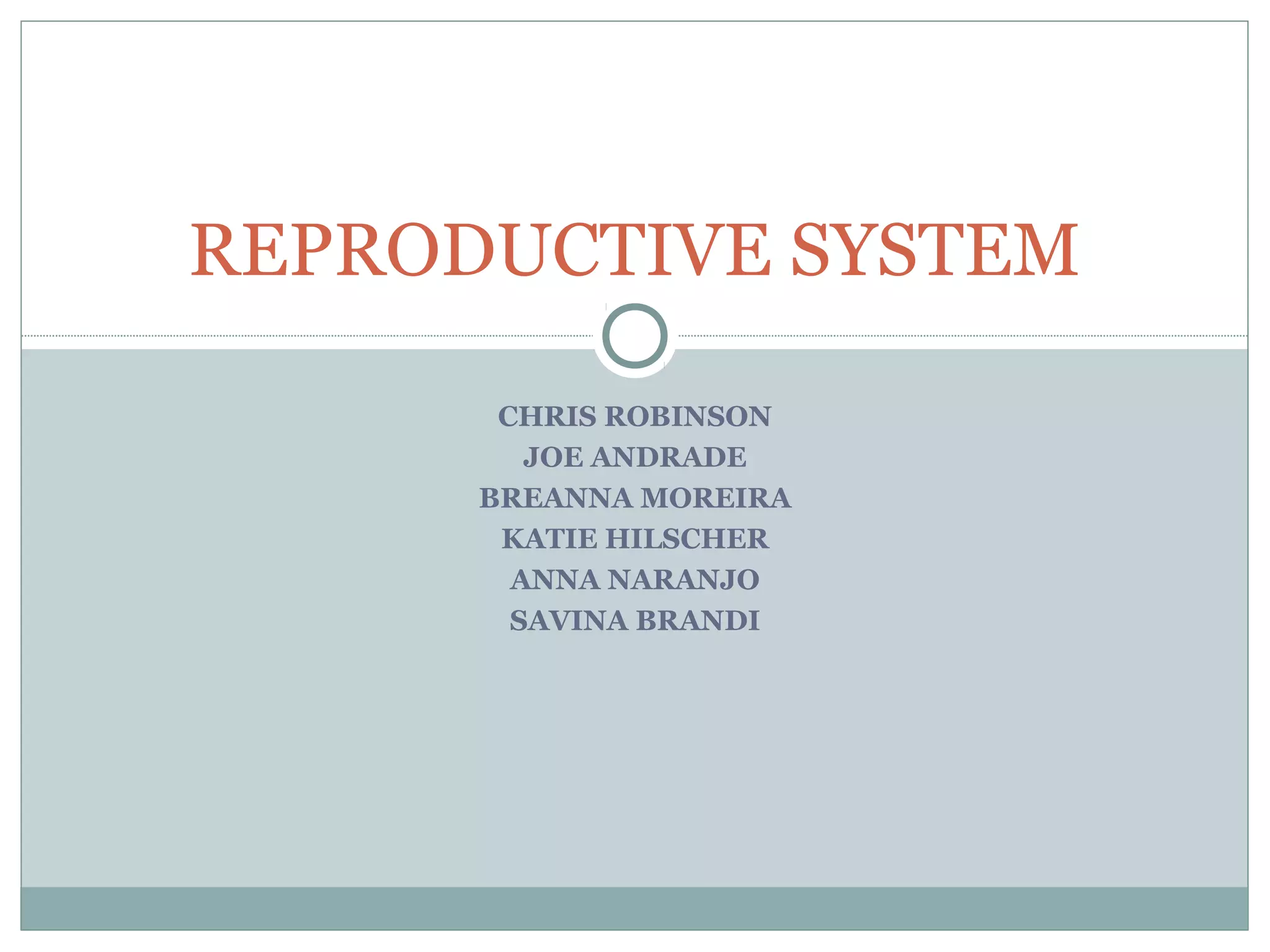 Reproductive system | PPT