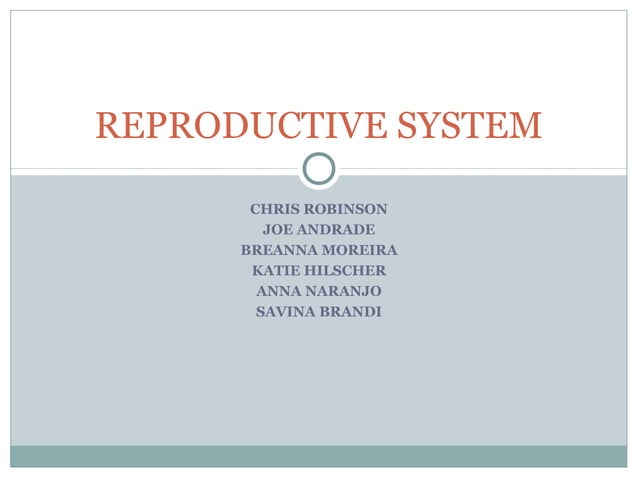 Reproductive system | PPT