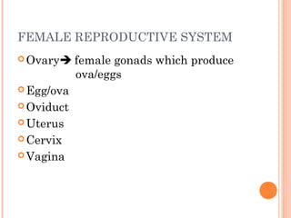 Reproductive system | PPT