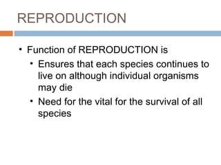 Reproductive system | PPT