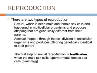 Reproductive system | PPT
