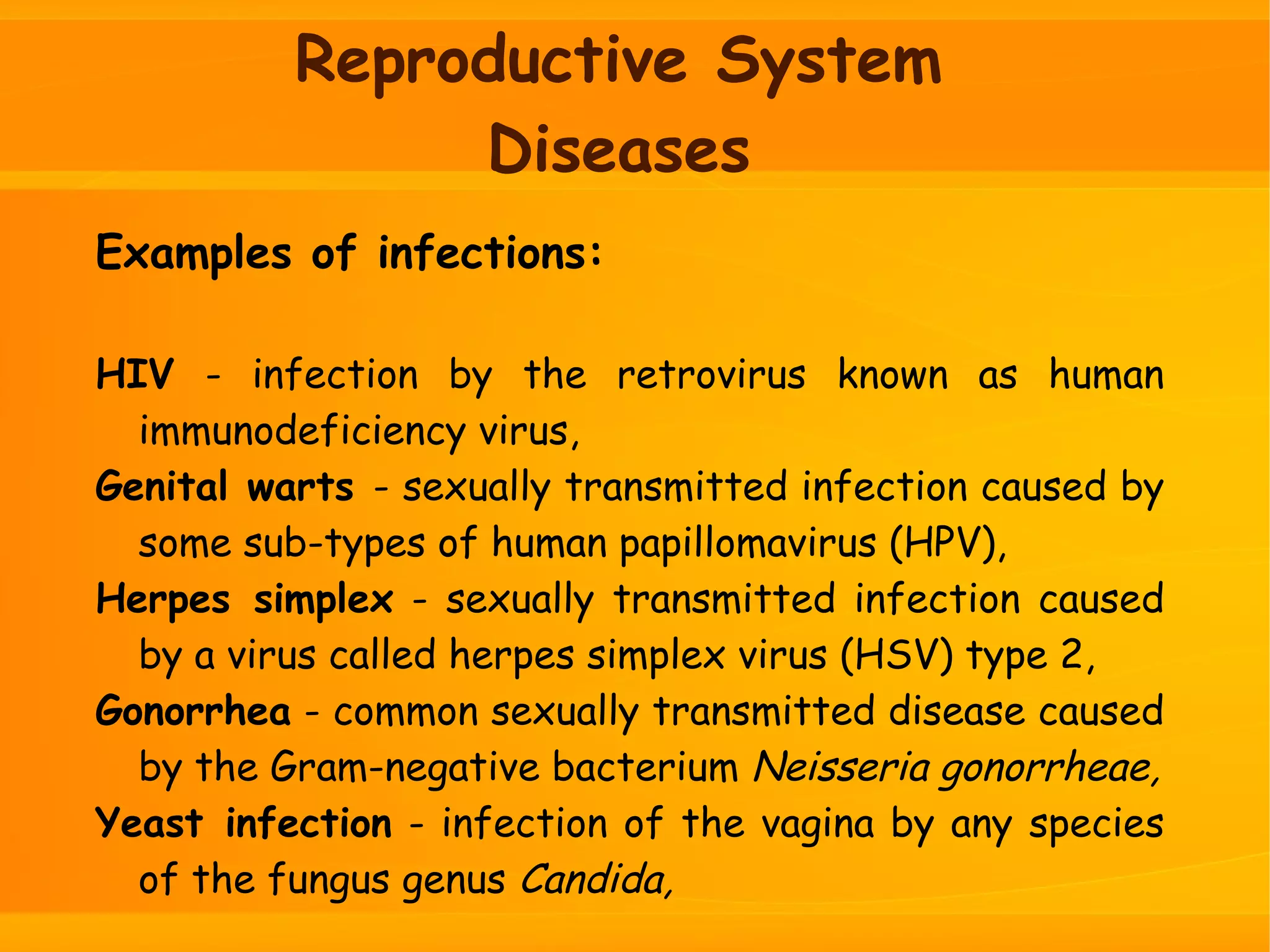 Reproductive system | PPT