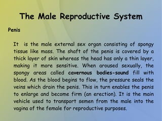 Reproductive system | PPT