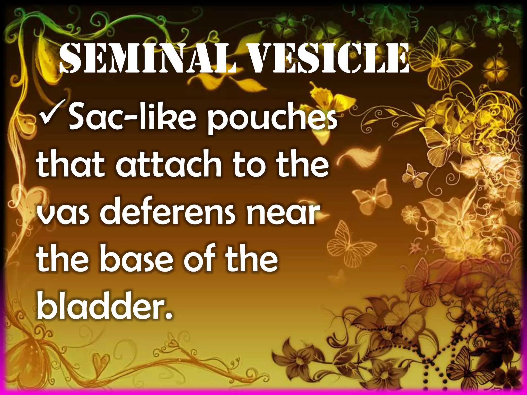 Reproductive system | PPTX