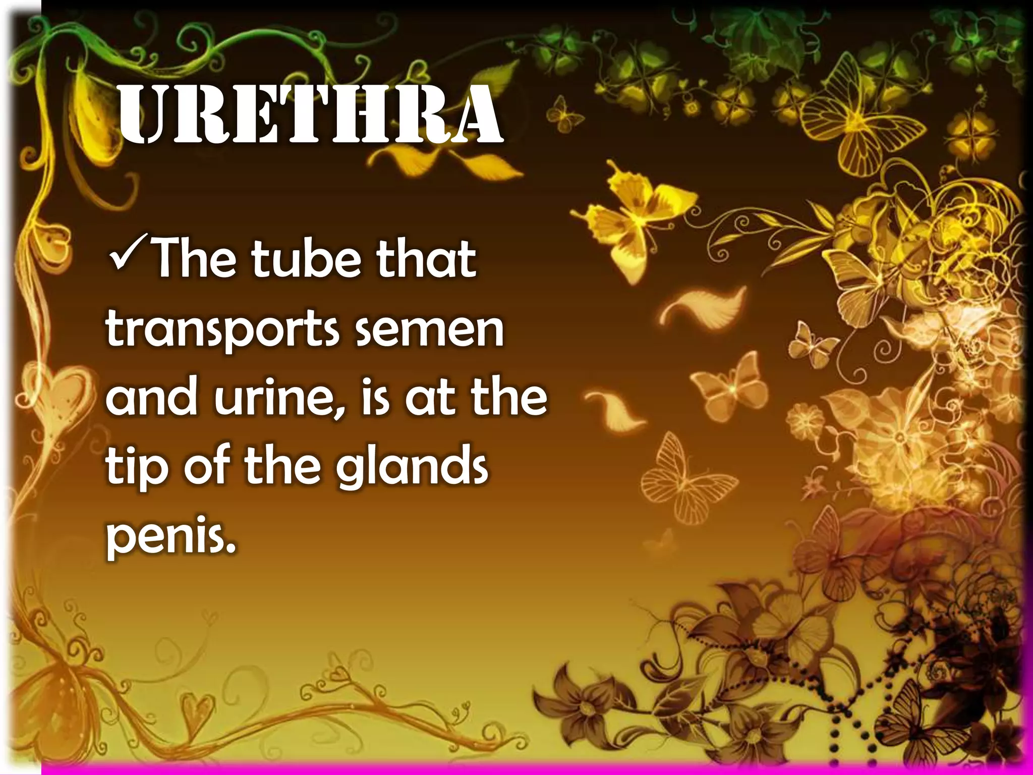 Reproductive system | PPTX