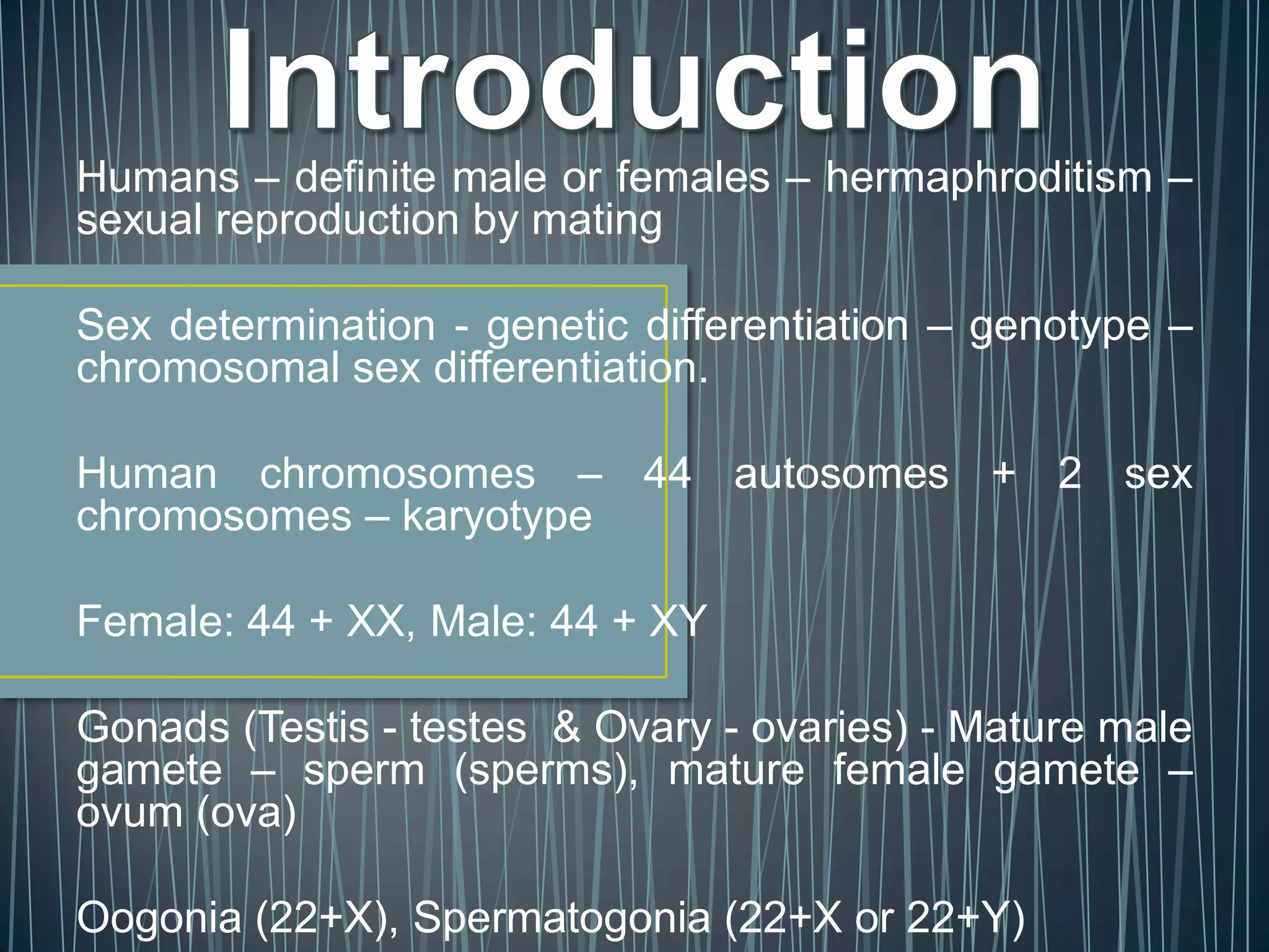 Reproductive system | PPTX