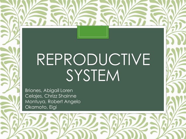 Comparative Anatomy - Reproductive System | PPTX