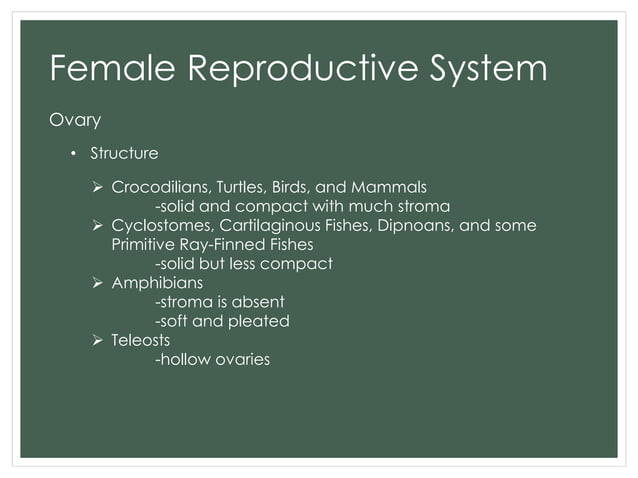 Comparative Anatomy - Reproductive System | PPTX