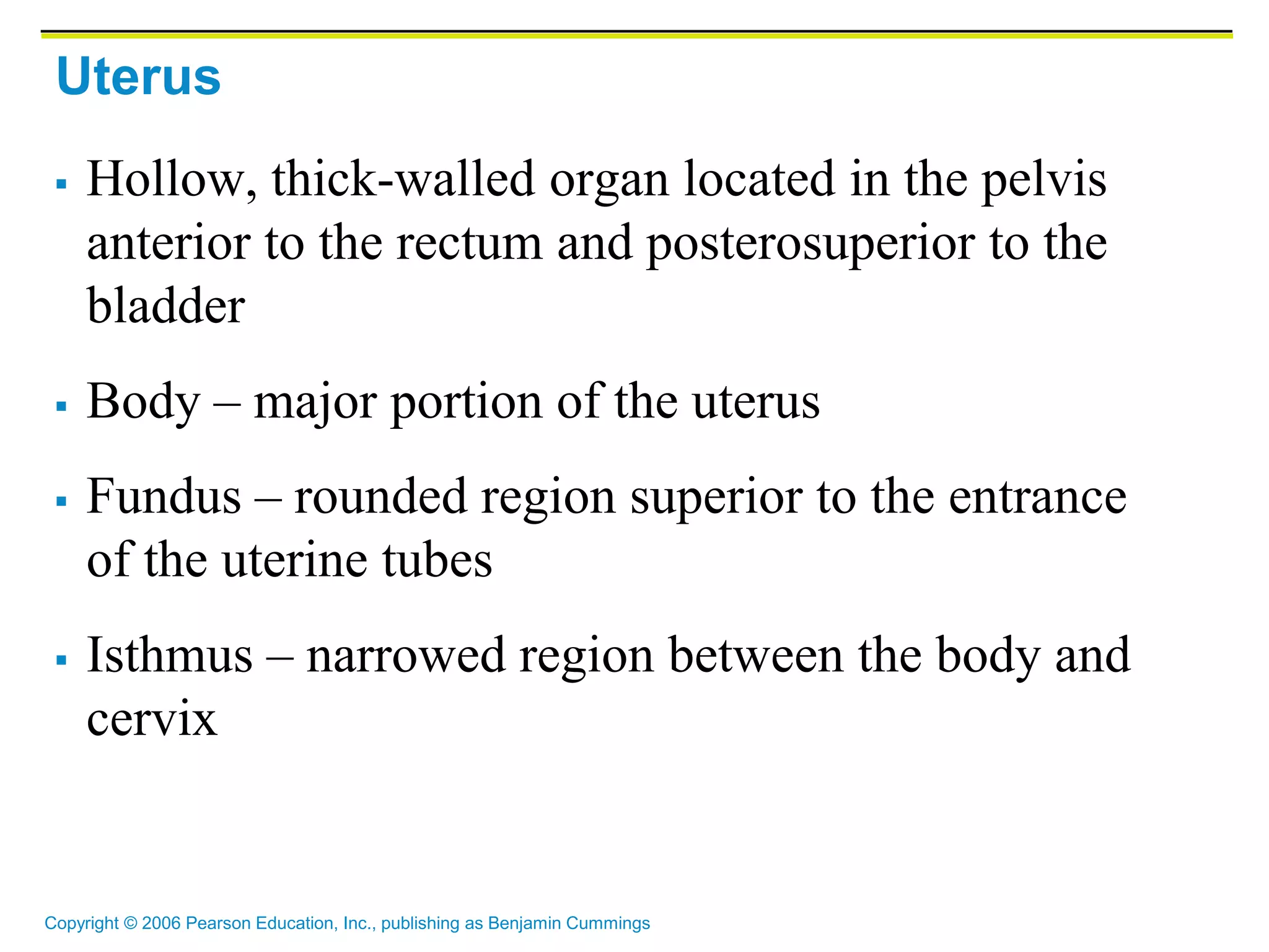 Reproductive system | PDF