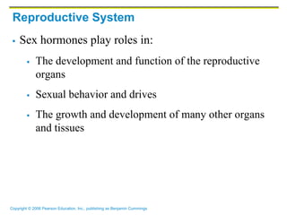 Reproductive system | PDF
