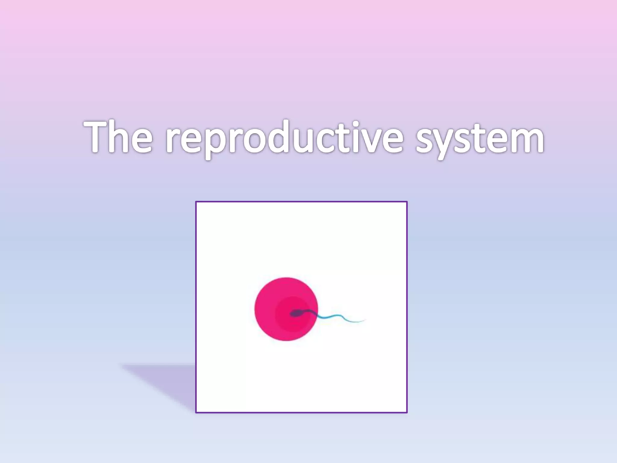 Reproductive system | PPT