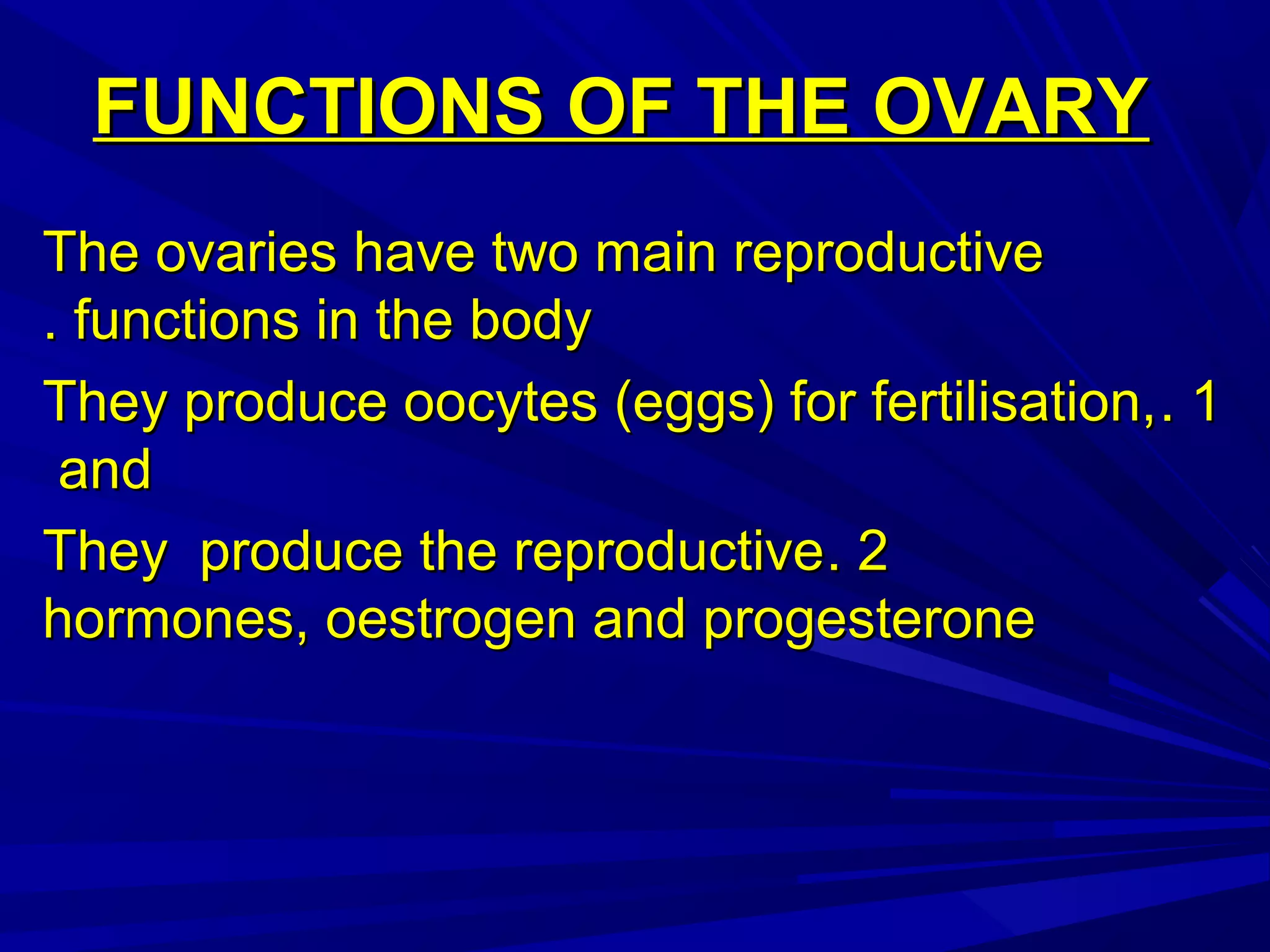 Reproductive system | PPT