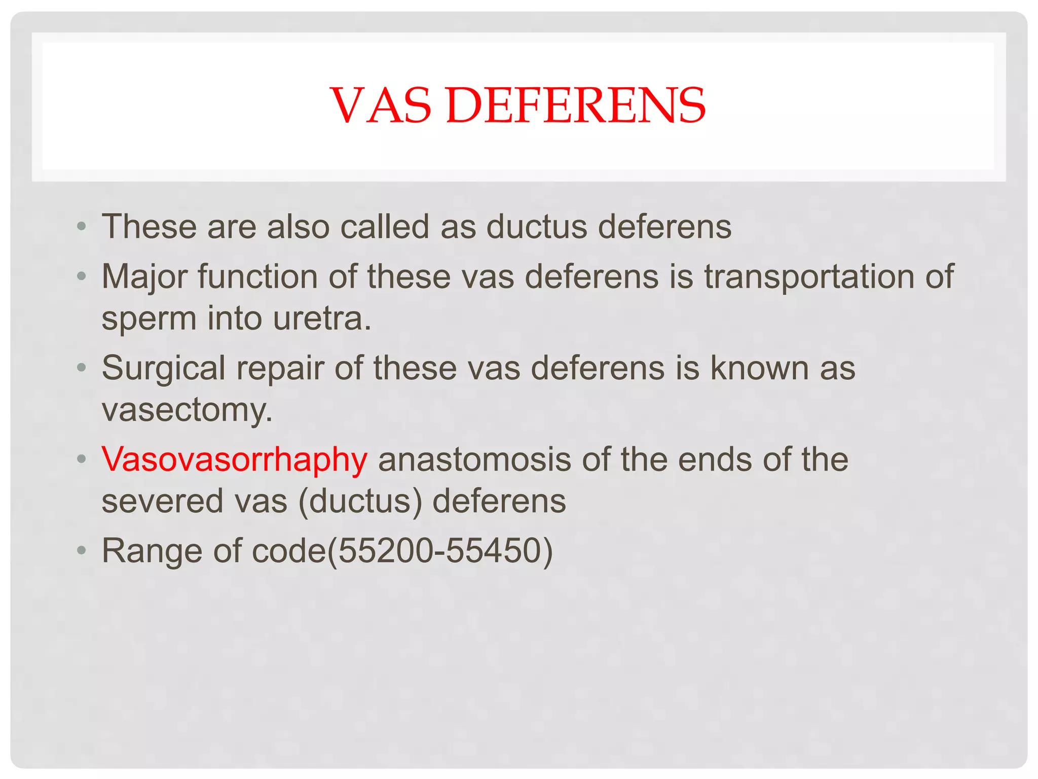 Reproductive system-CPT Coding | PPTX