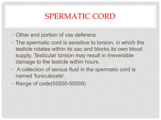 Reproductive system-CPT Coding | PPTX