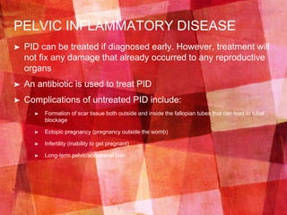 Reproductive system | PPT