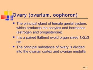 Reproductive system | PPT