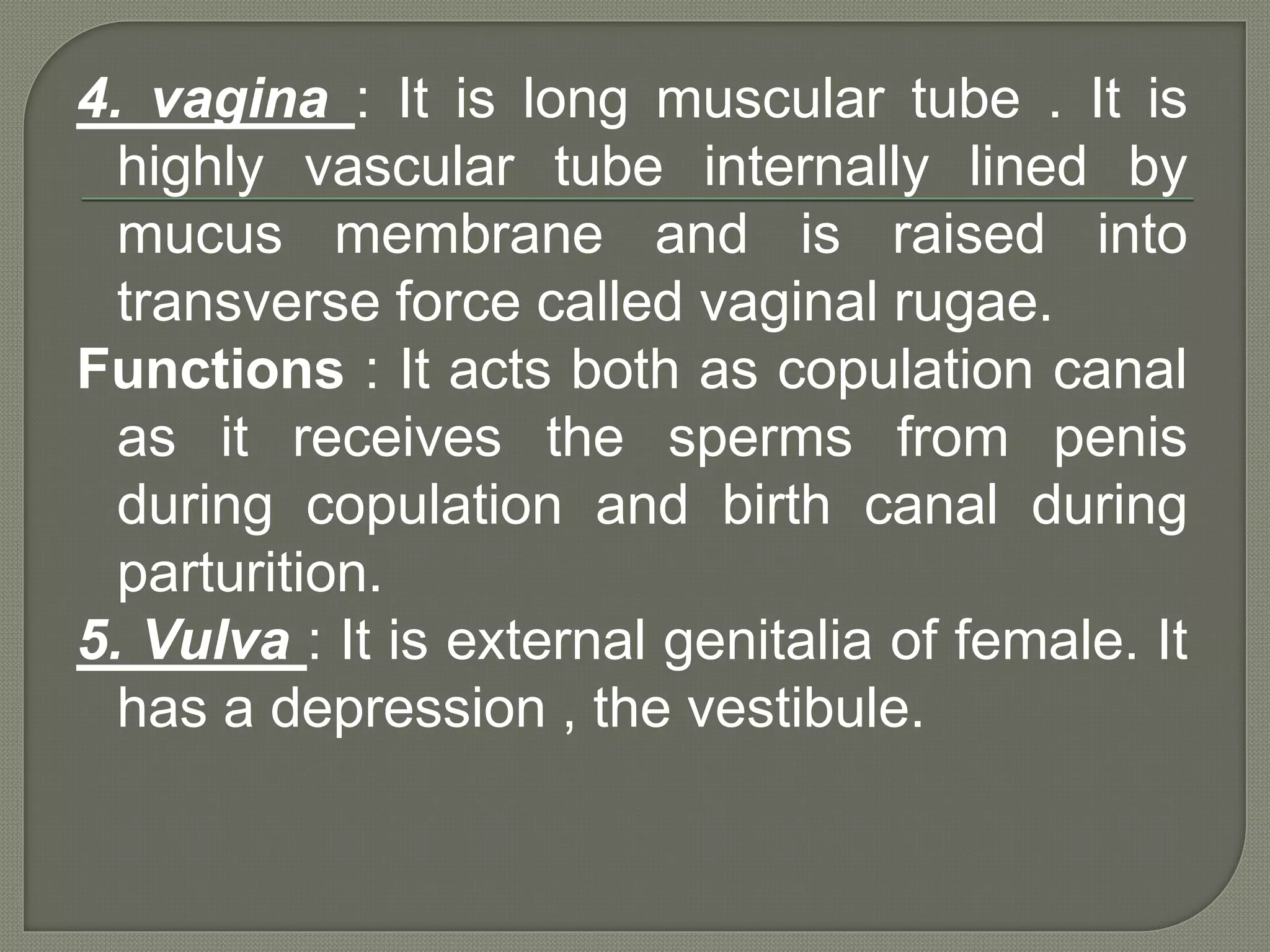 Reproductive system | PPTX