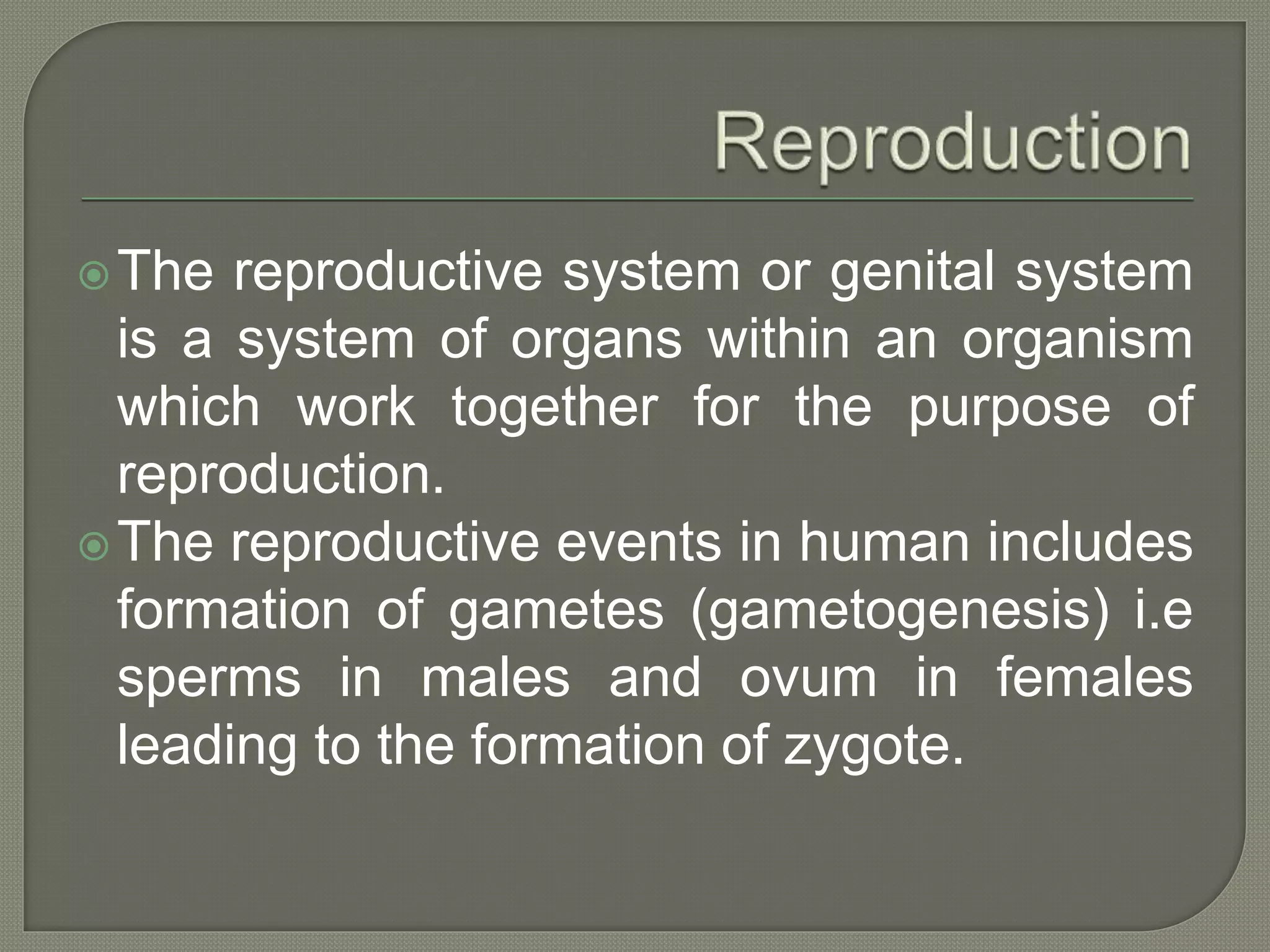 Reproductive system | PPTX