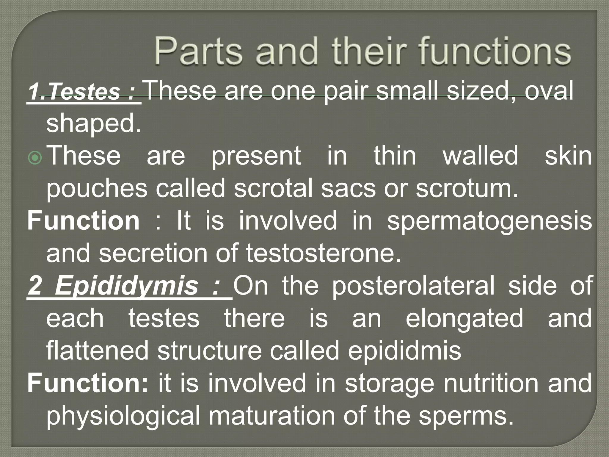 Reproductive system | PPTX