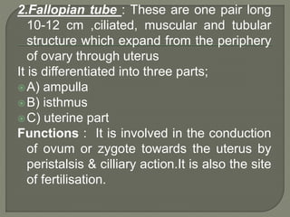 Reproductive system | PPTX | Pregnancy | Reproductive Health
