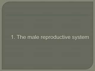 Reproductive system | PPTX