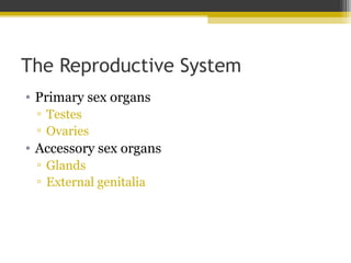 Reproductive System | PPT