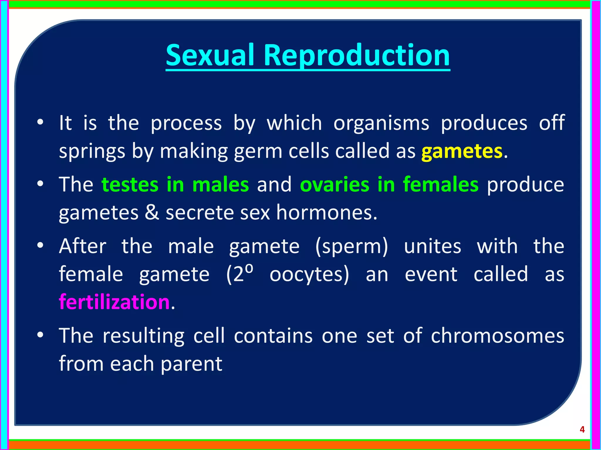 Reproductive system | PPTX