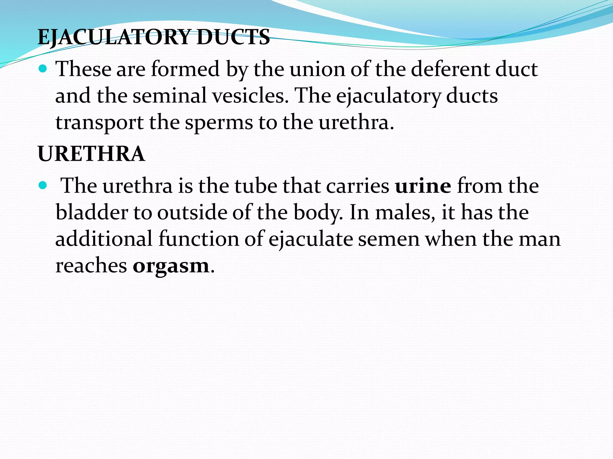 Human Reproductive system: Anatomy and physiology | PPTX