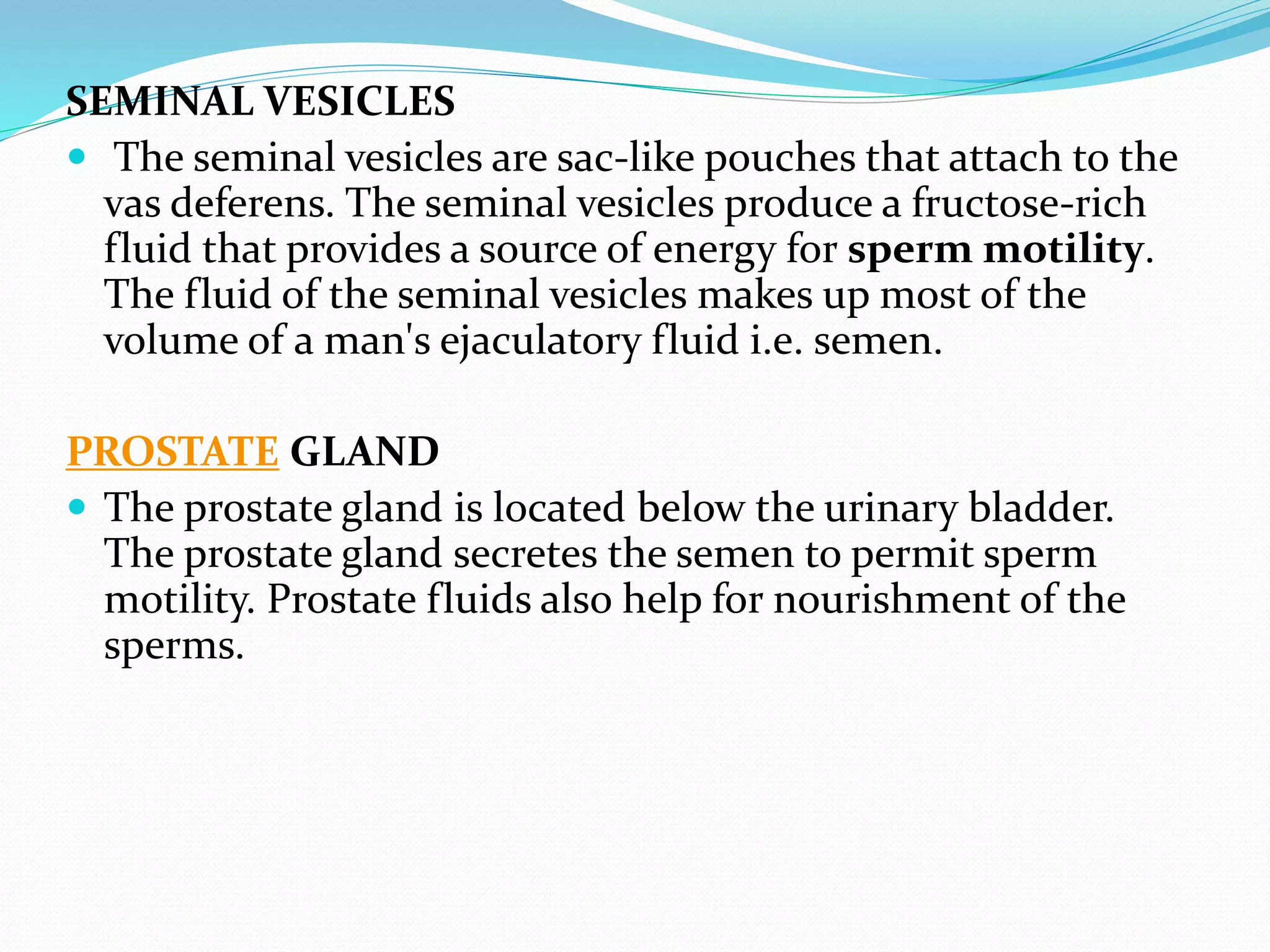 Human Reproductive system: Anatomy and physiology | PPTX