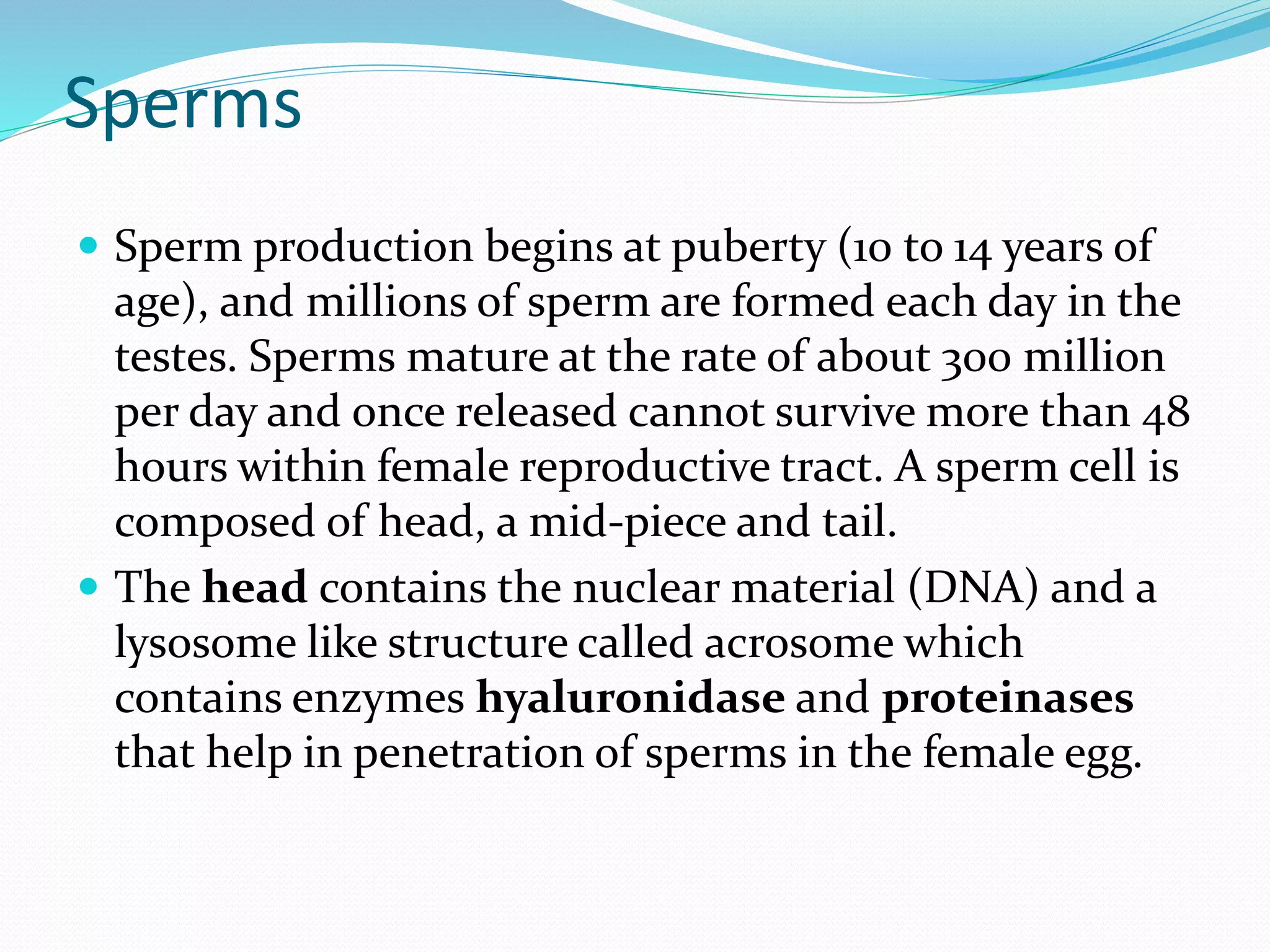 Human Reproductive system: Anatomy and physiology | PPTX