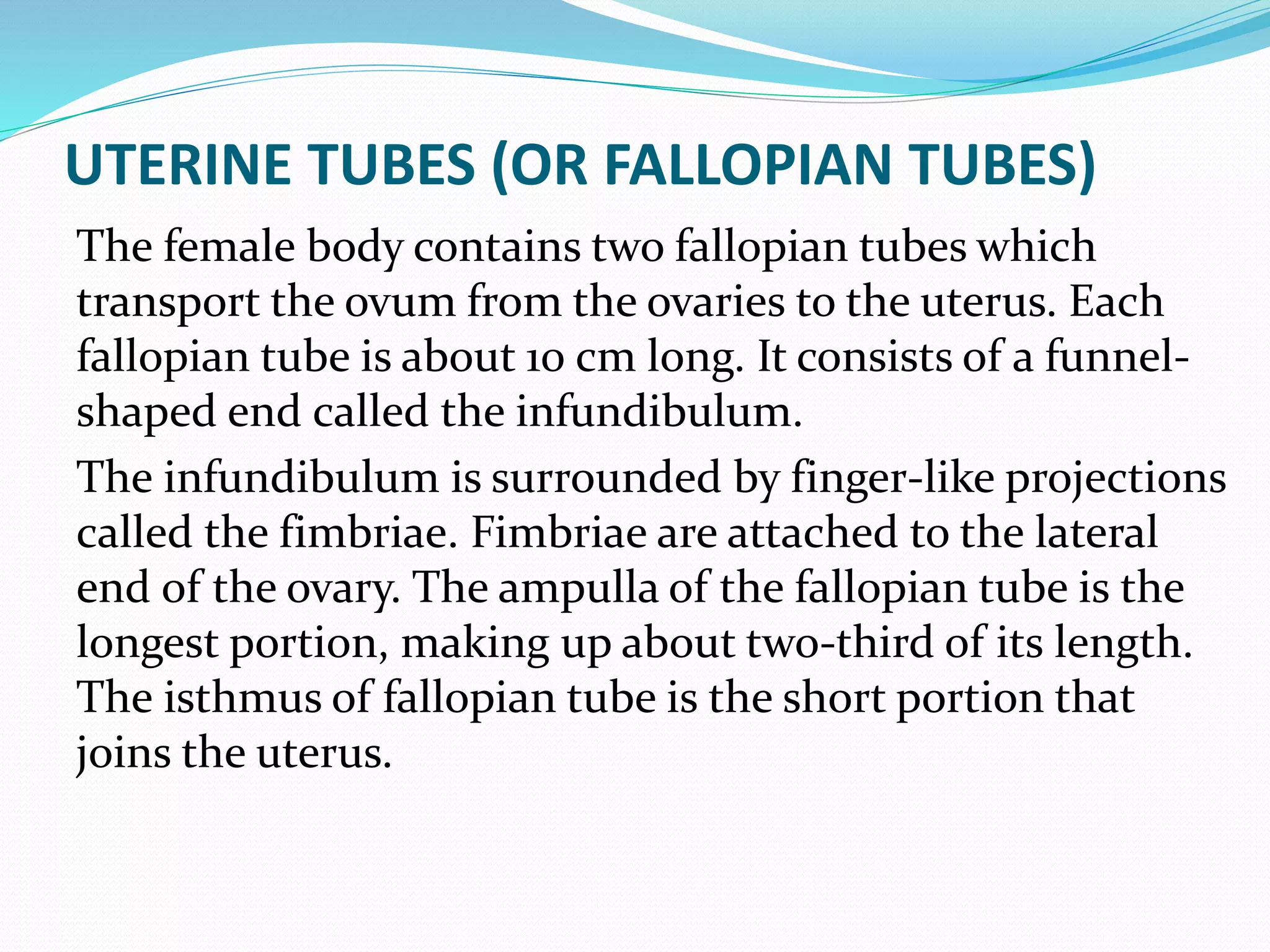 Human Reproductive system: Anatomy and physiology | PPTX