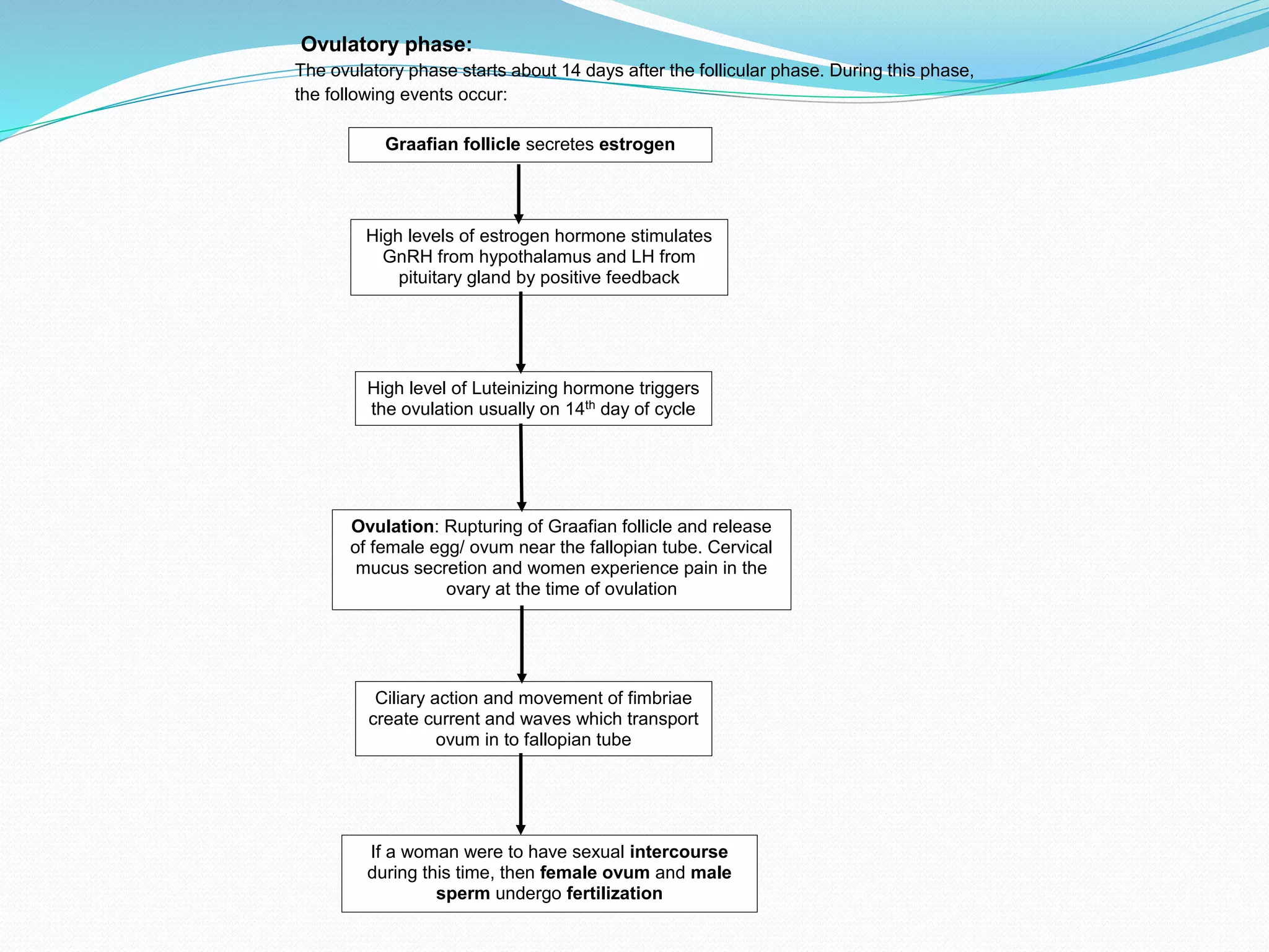 Human Reproductive system: Anatomy and physiology | PPTX
