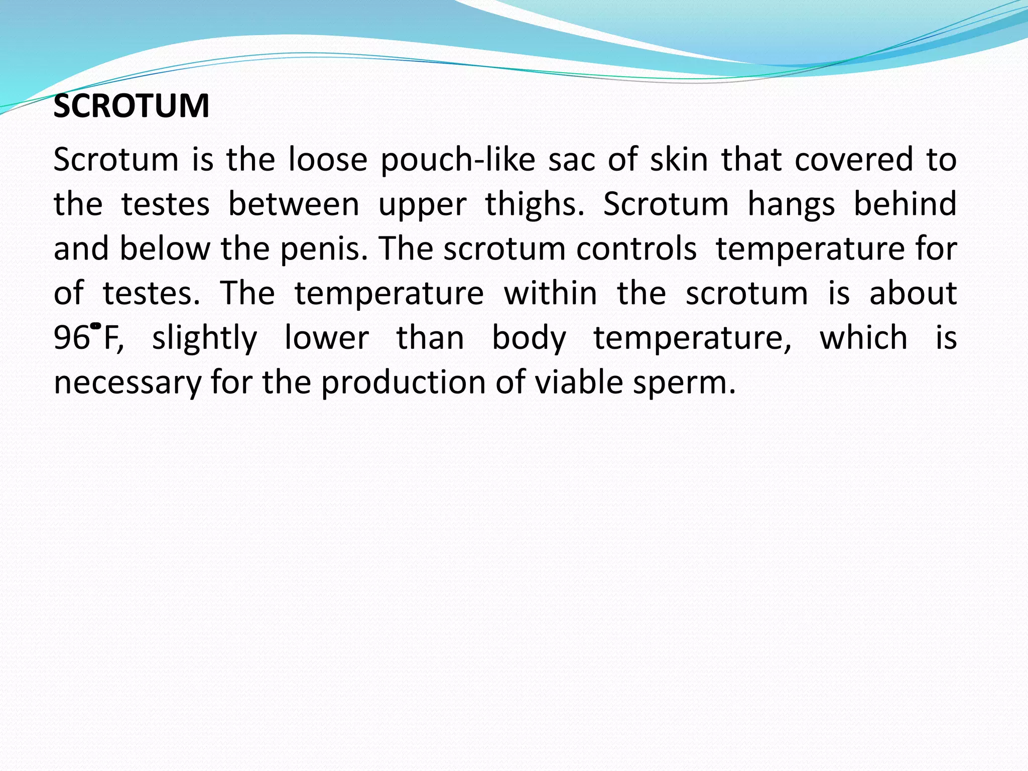 Human Reproductive system: Anatomy and physiology | PPTX
