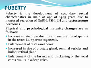 Human Reproductive system: Anatomy and physiology | PPTX