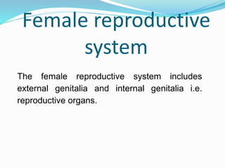 Human Reproductive system: Anatomy and physiology | PPTX
