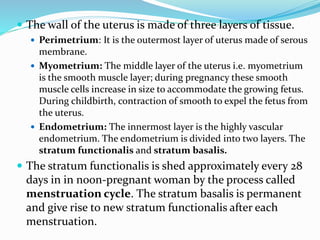 Human Reproductive system: Anatomy and physiology | PPTX