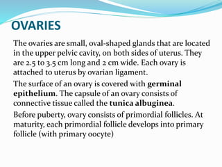 Human Reproductive system: Anatomy and physiology | PPTX