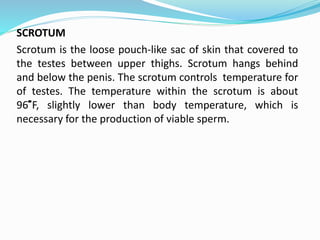 Human Reproductive system: Anatomy and physiology | PPTX