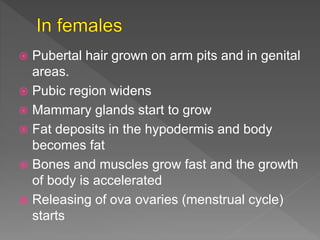 Reproductive system | PPTX | Infertility | Reproductive Health