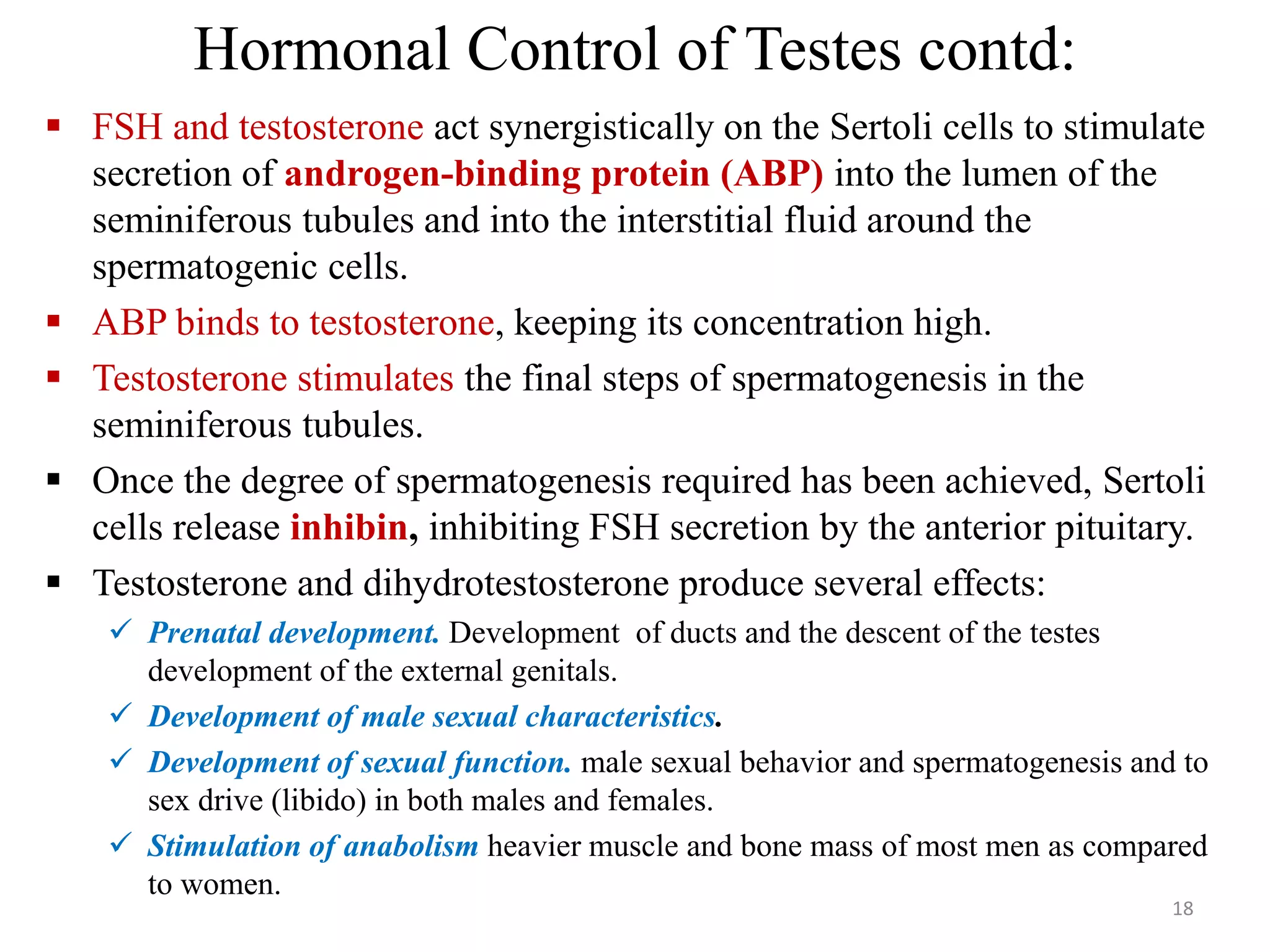 Reproductive system | PDF